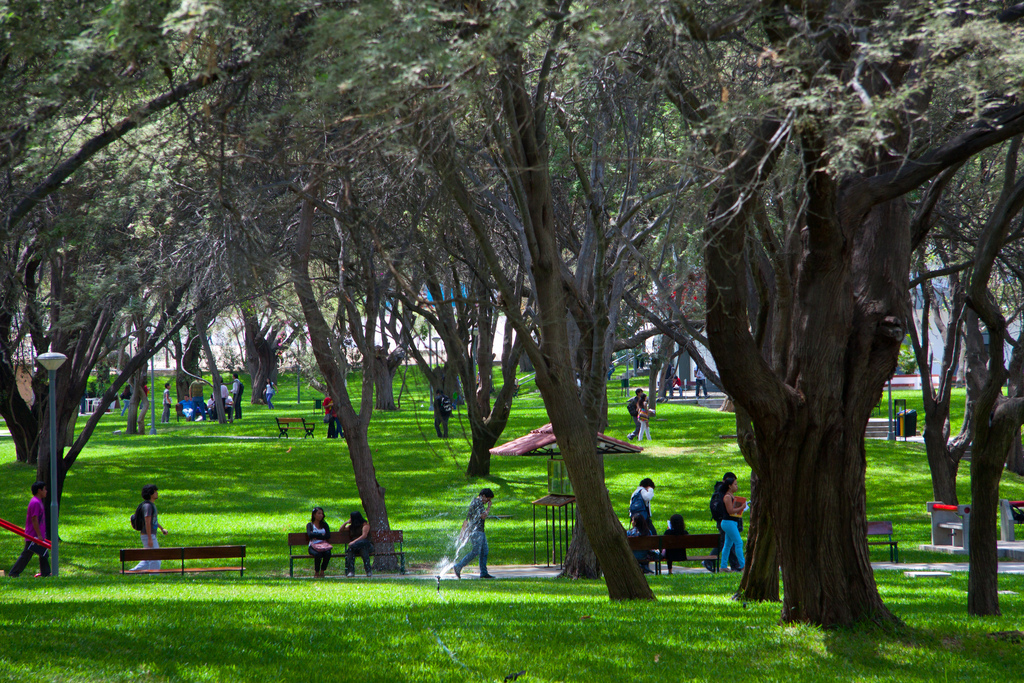 OEFA capacitará a profesores de la UDEP en fiscalización ambiental » UDEP Hoy
