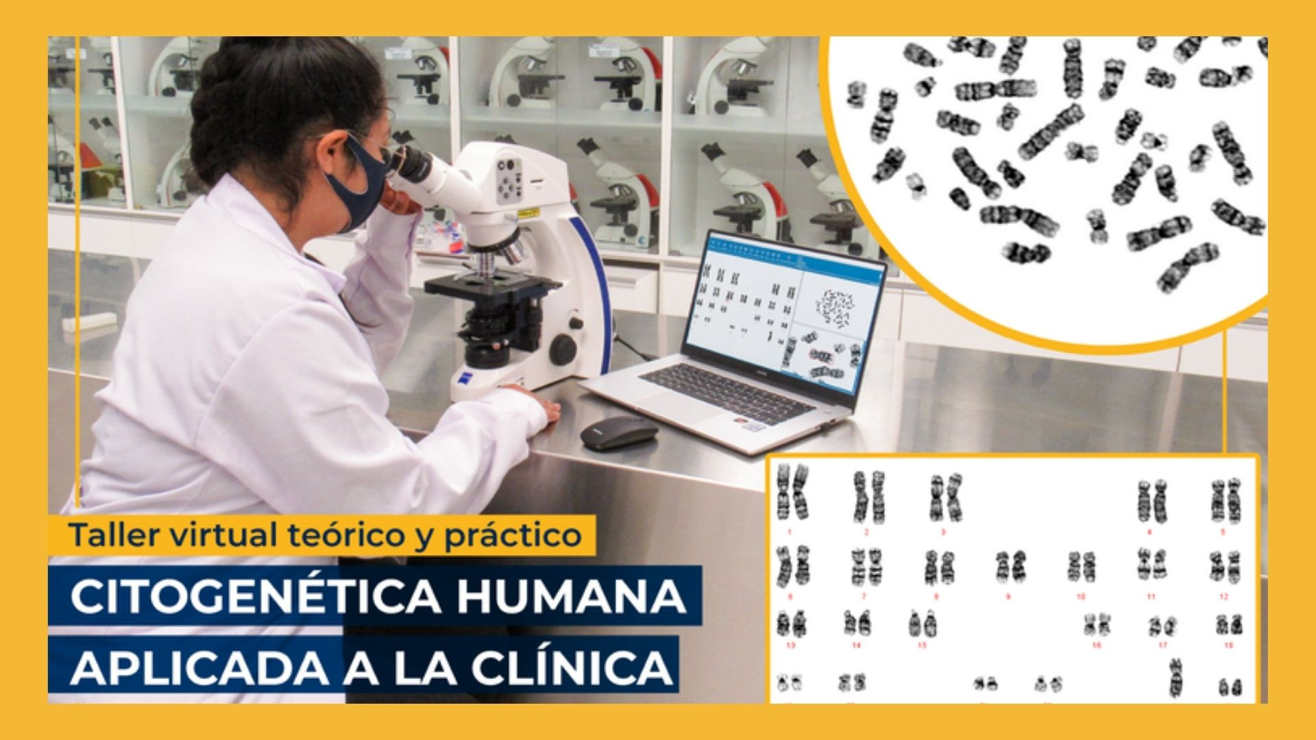 Medicina Humana ofrecerá un curso virtual sobre citogenética humana ...