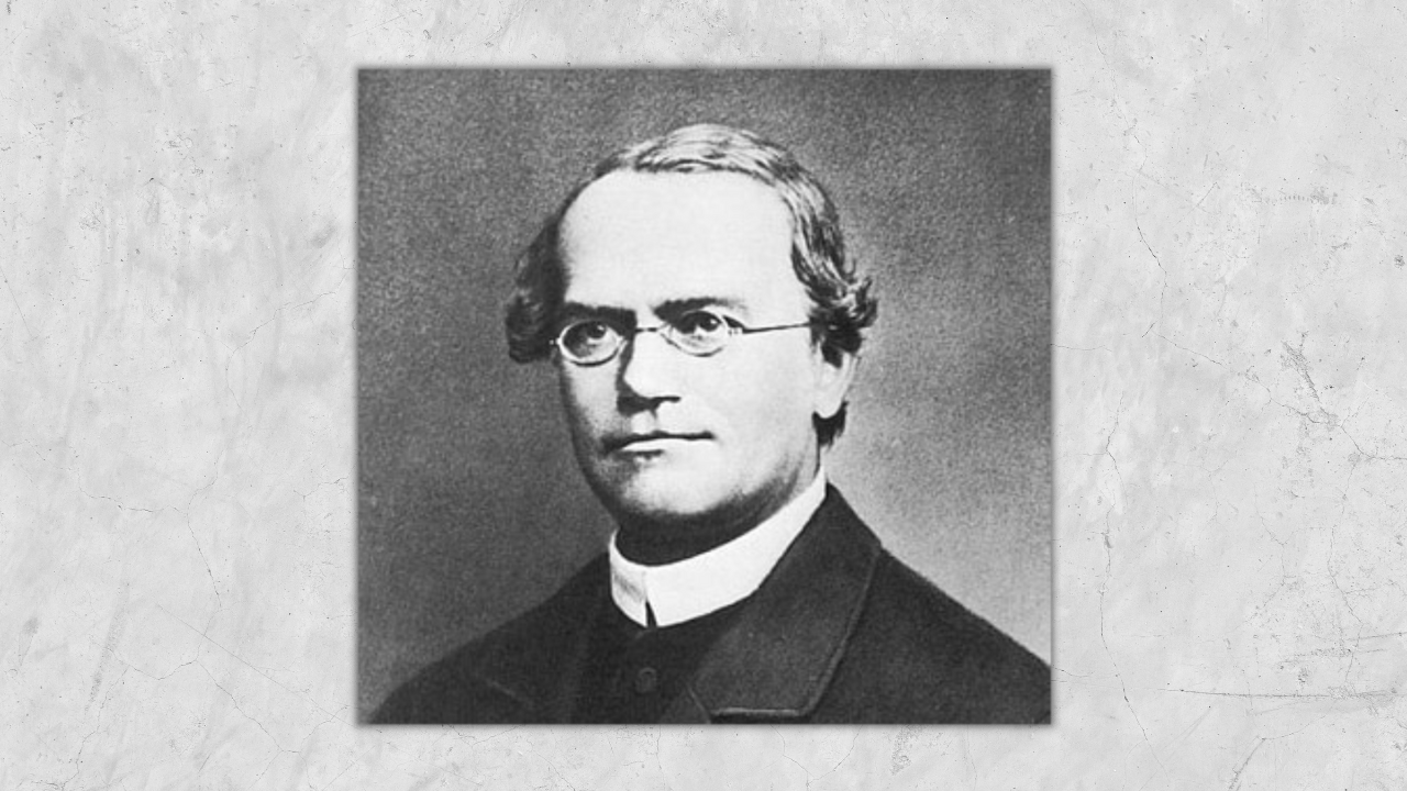 Gregor Mendel: ejemplo de verdadero científico » UDEP Hoy