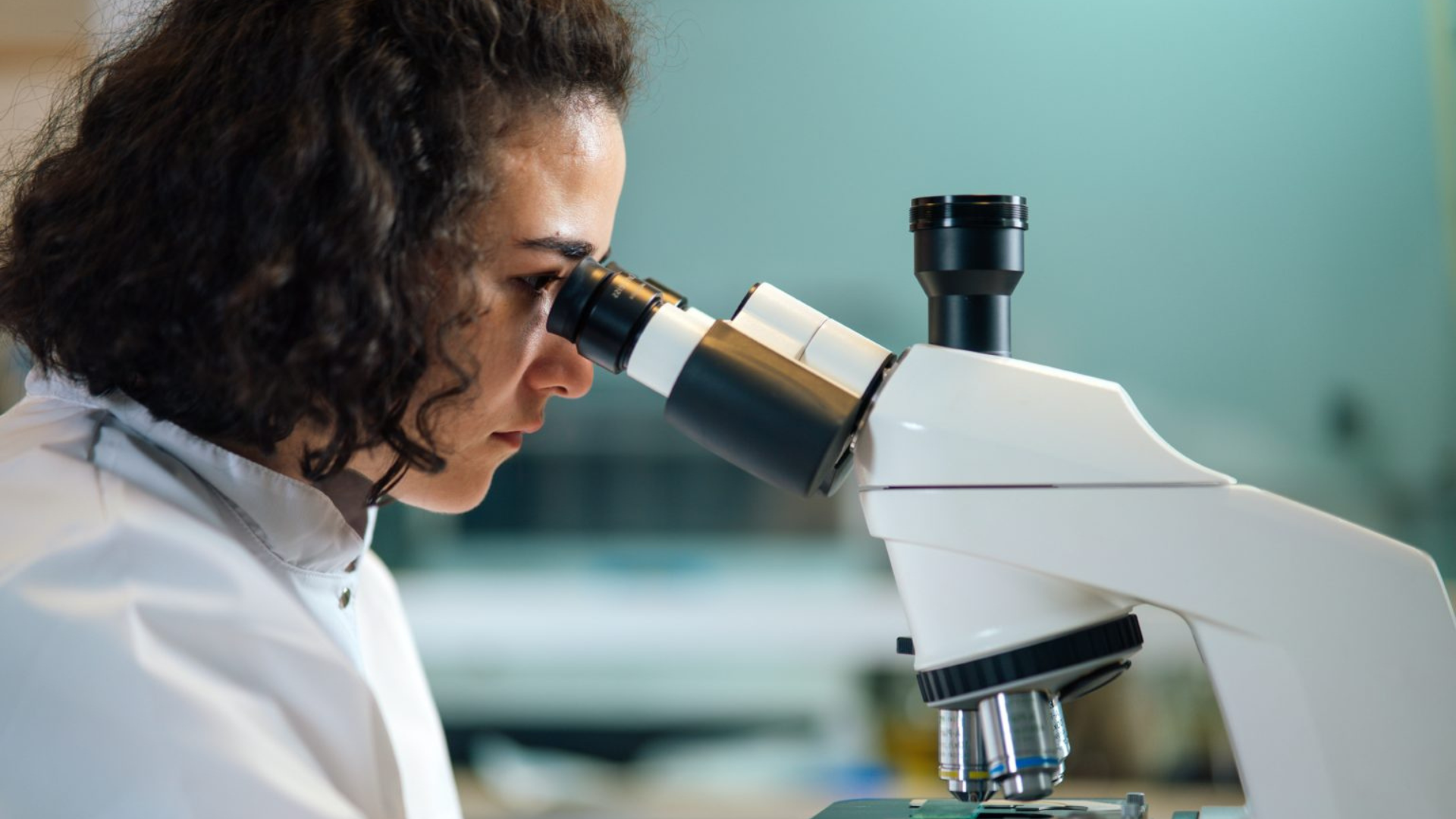 “Resucitan” órganos de cerdos muertos » UDEP Hoy