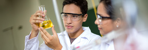 Prácticas preprofesionales - Ingeniería