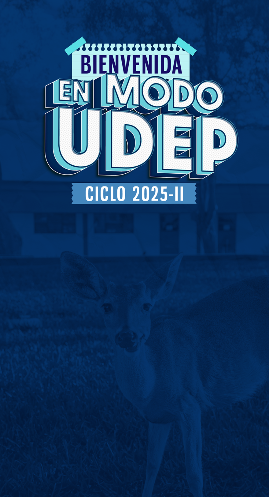 Universidad de Piura - UDEP